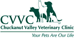6 Top Rated Veterinarians In Bellingham, Washington | Best Reviewed Experts