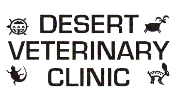 6 Top Rated Veterinarians In Yuma, Arizona | Best Reviewed Experts