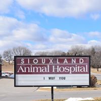 6 Top Rated Veterinarians In Sioux City, Iowa | Best Reviewed Experts
